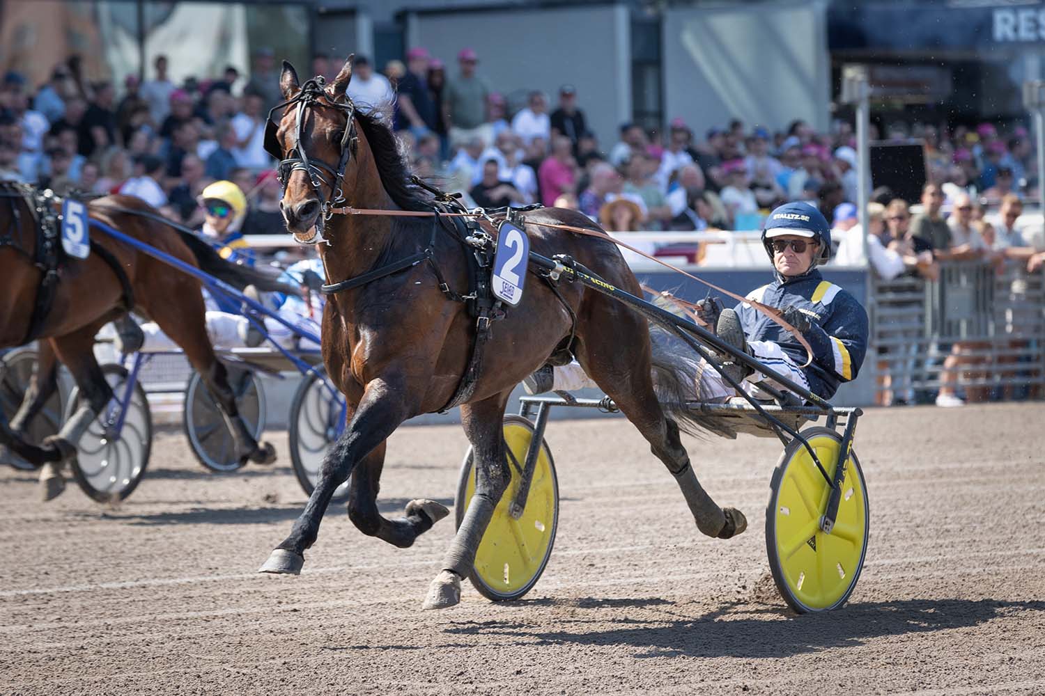 Click Bait - Flevofarm